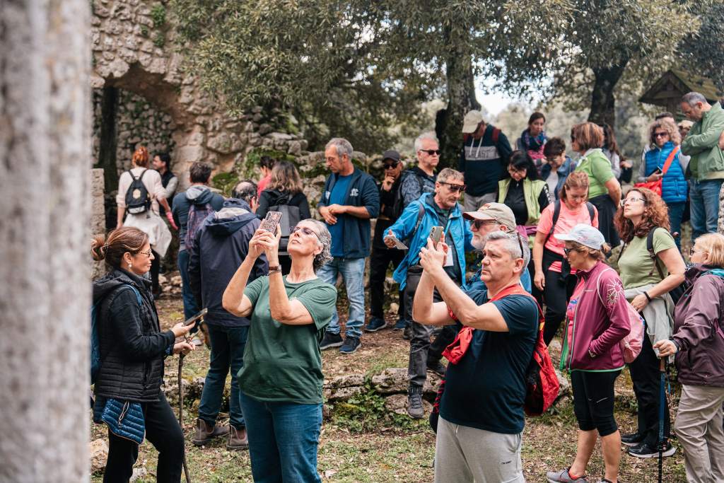 Orchidays in Mattinata (23–26 April 2026): wild orchids, guided hikes ...