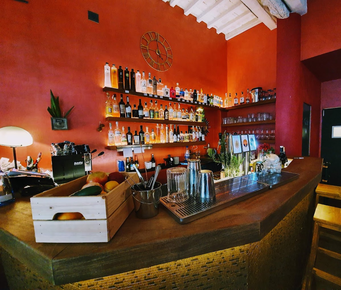 Salotto Cavour: the wine bar that ignites the senses in the heart of ...